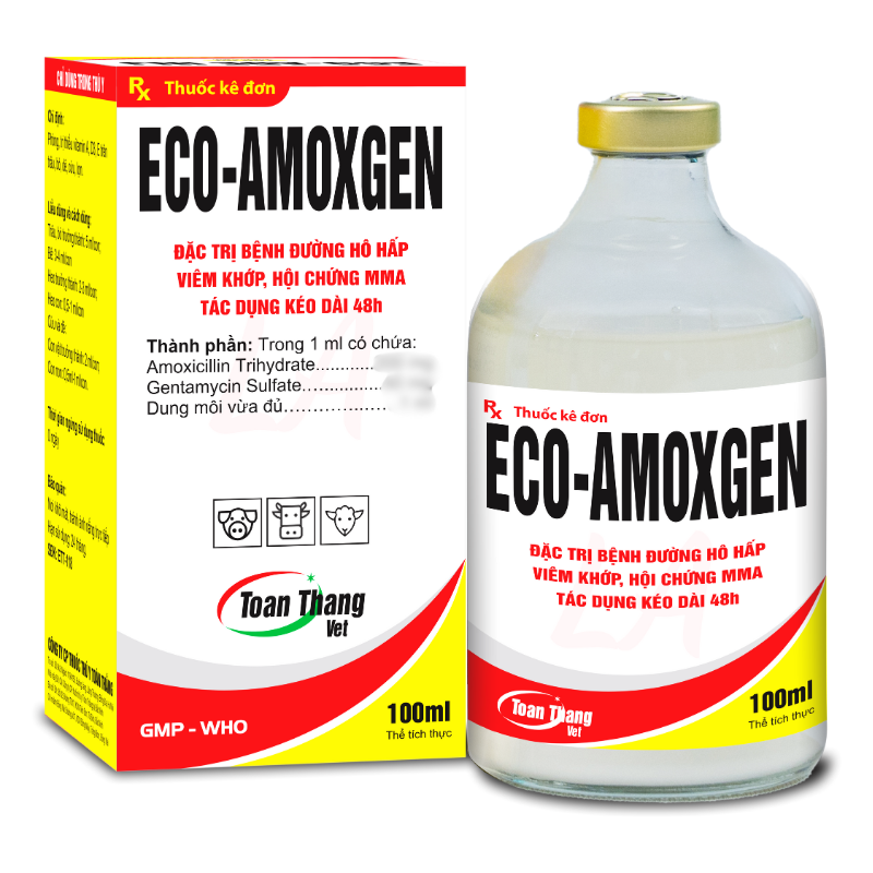 ECO AMOGEN LA - Đặc trị đường hô hấp, viêm khớp, viêm vú, viêm tử cung ...