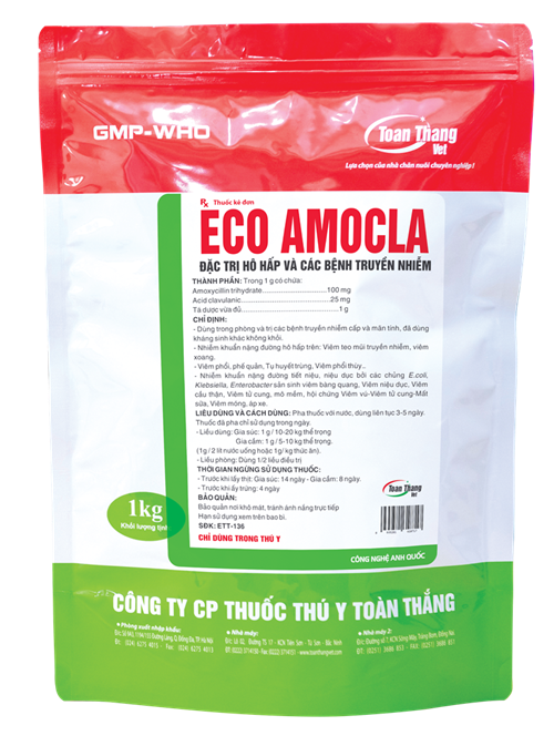 ECO AMOCLA - Special treatment for respiratory and infectious diseases.