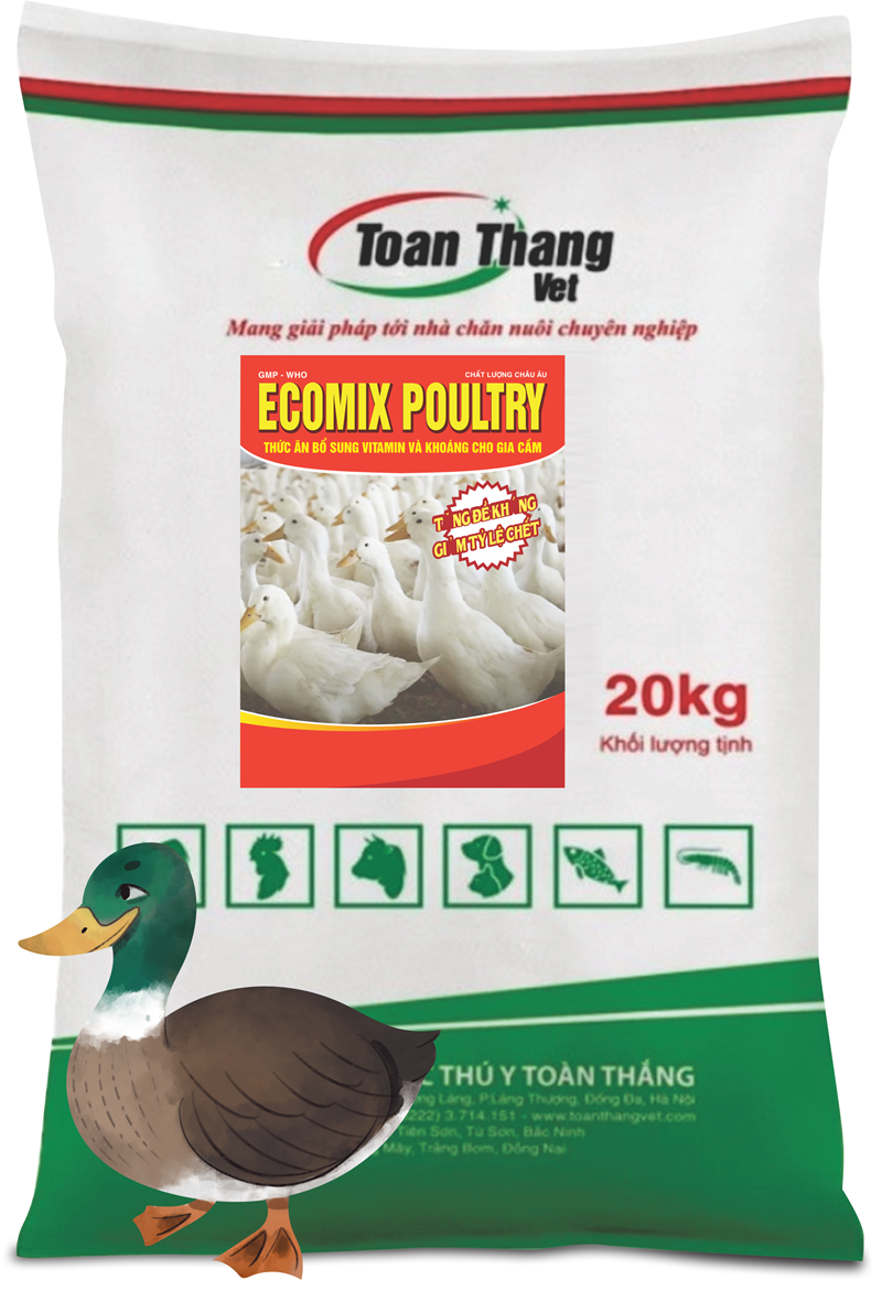 ECOMIX POULTRY - VITAMIN AND MINERAL FEED ADDITIVE FOR LIVESTOCK AND ...